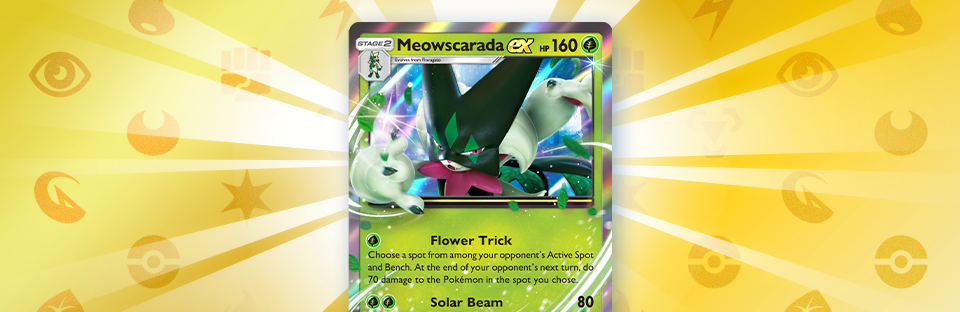 Premium Shop Lineup Update (June 2026) | Pokémon Zone